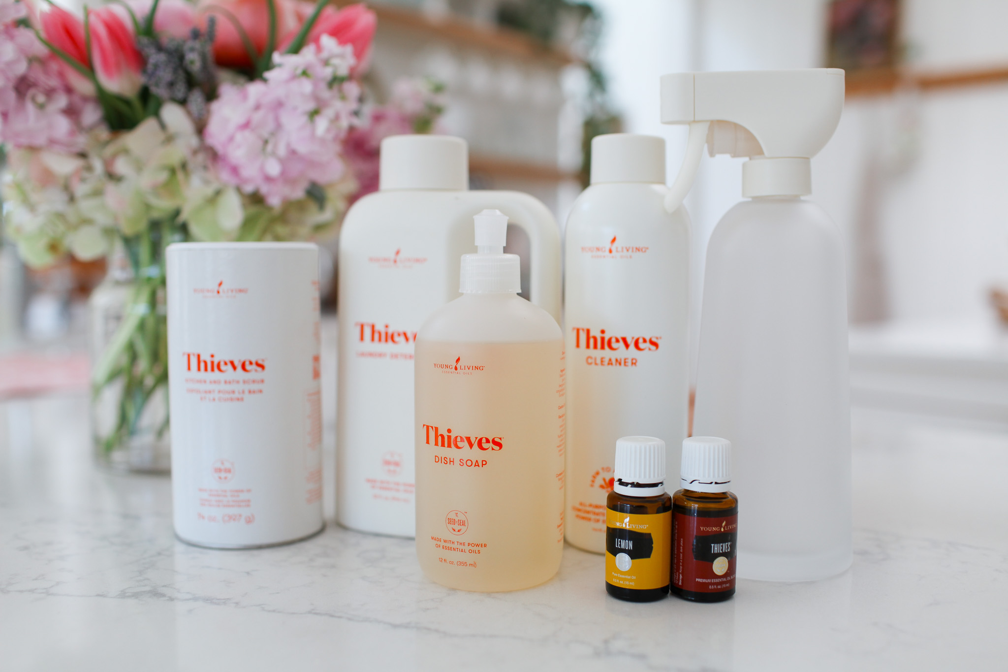 What I use to Clean my Whole House! - Christina J Warren