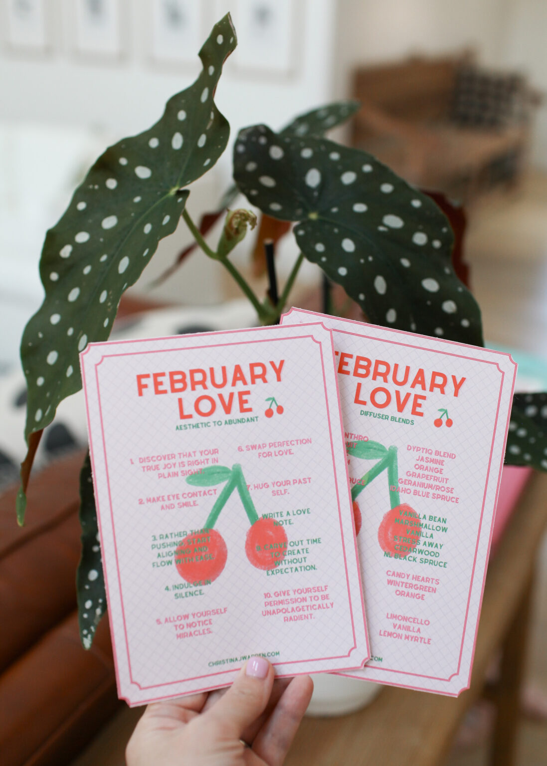 Romanticize Your Life This February: Set the Tone with Refreshing ...